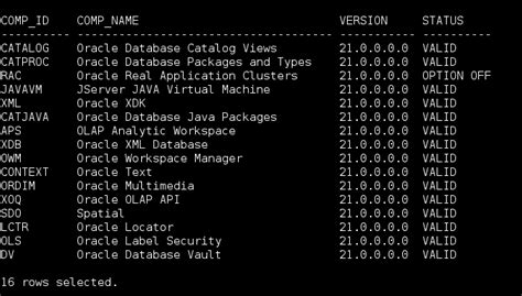Apply Patching On Oracle 21c Database Release Update 21 7 0 0 0 Oracledbwr