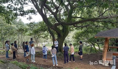 향적산 치유의 숲 산림치유프로그램 본격 운영