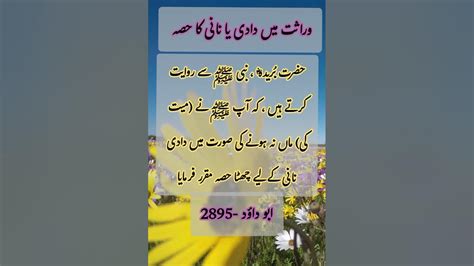 وراثت میں دادی یا نانی کا حصہ Youtube