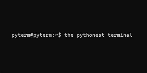 github sushii64 pyterm terminal in python