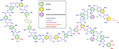Lignin Structure