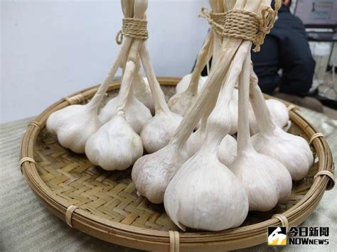 蒜頭吃錯好幾年？「正確保存法」曝光 這招竟跟選舉有關 生活 Nownews今日新聞