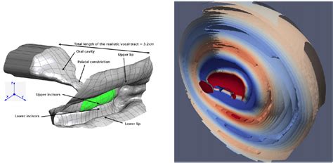 Computational Aeroacoustics To Identify Sound Sources In The Generation Of Sibilant S Blogs