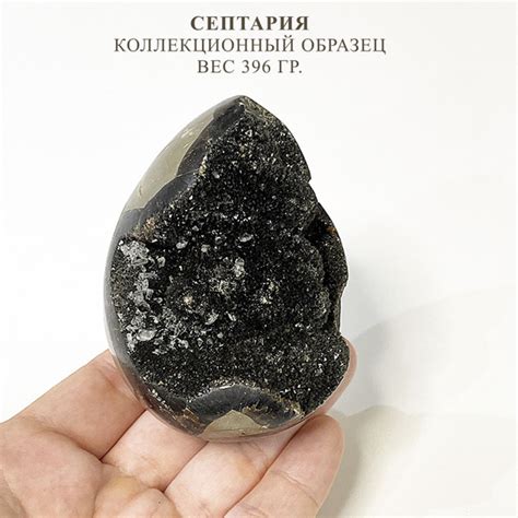 Характеристики Коллекционный образец Септария натуральный камень подробное описание товара