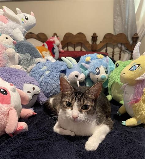 Kitty 🥹💖 Rsquishable