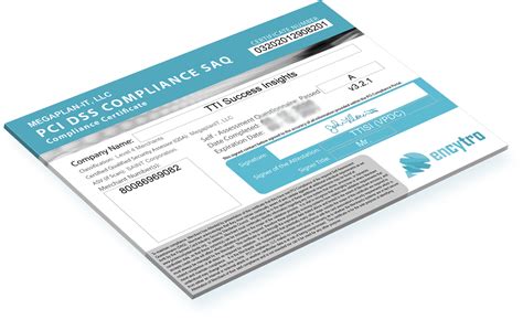 PCI DSS TTI Success Insights