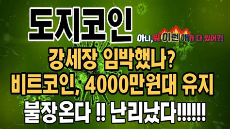 도지코인 코인주가전망 코인대응전략 코인매수타이밍 코인목표가 앞으로의 전략은 Youtube
