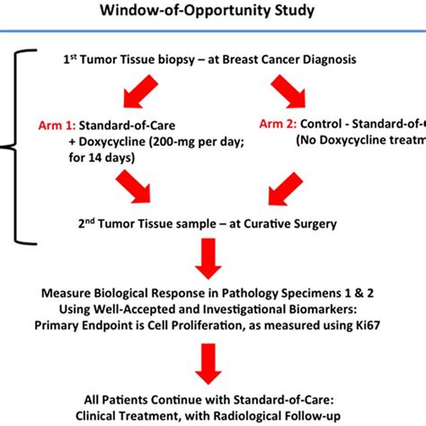 Effects Of Doxycycline Administration On The Expression Of Six Download Scientific Diagram