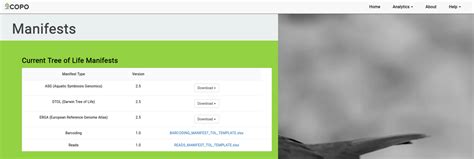 Exploring Manifest Wizard — Copo Project 10 Documentation