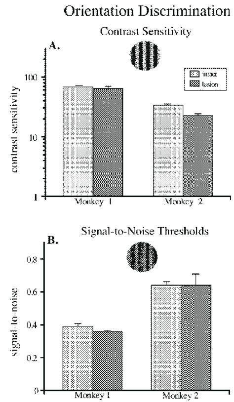 Orientation Discrimination Measured With Gratings Flickered In Download Scientific Diagram