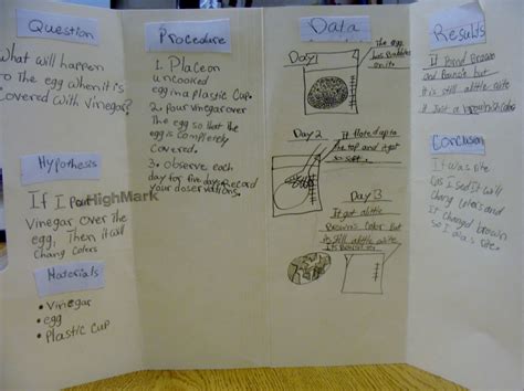 How To Set Up A Science Fair Poster Board