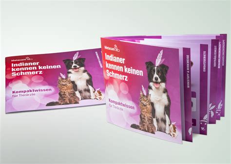 Metacam® Boehringer Ingelheim Göbel Gröner