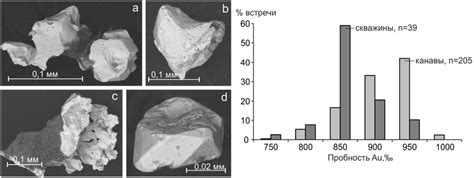 Examples Of Morphology And Histogram Of The Fineness Of Native Gold