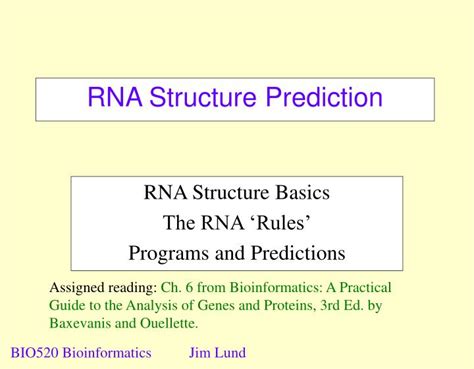 PPT RNA Structure Prediction PowerPoint Presentation Free Download ID 3582937
