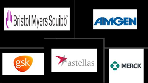 북미 암 백신 시장 회사 규모 및 점유율