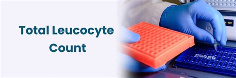 Total Leucocyte Count Vital For Immune System Health
