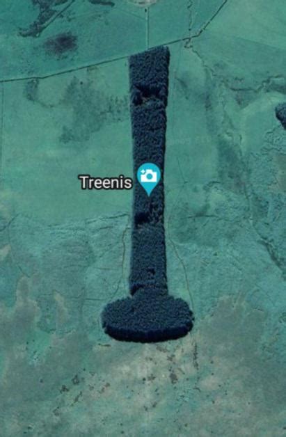 Pattern Seeking Brain R Casualuk