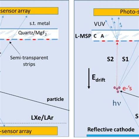 Different Perforated Electrodes Discussed In This Work A Gem With