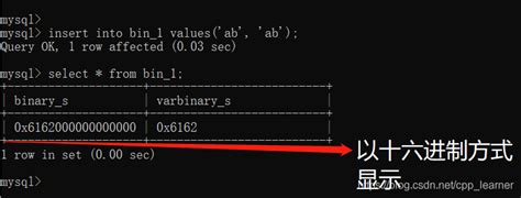 命令行操作mysql 二进制类型mysql中如何使用二进制的与或 Csdn博客 命令行操作mysql 二进制类型mysql中如何使用二进制的与或 Csdn博客