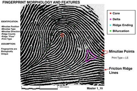 PPT Novel Use Of GIS For Spatial Analysis Of Fingerprint Patterns PowerPoint Presentation ID