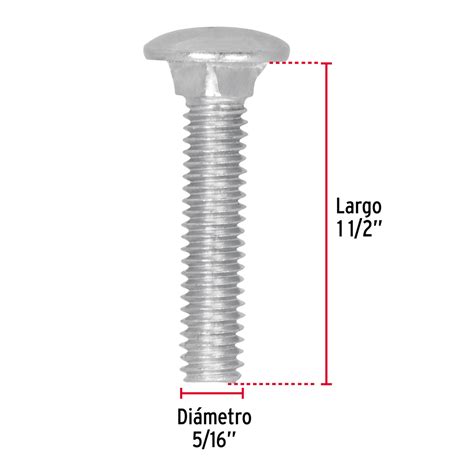 Tornillo Tipo Coche Galvanizado 5 16 X 1 1 2 50 Piezas Ferretería Feresmar