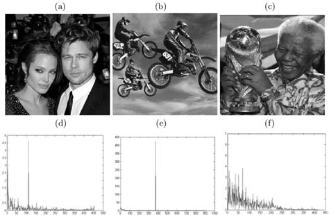 Each Column Shows An Example Image And A Corresponding Correlation Map Download Scientific