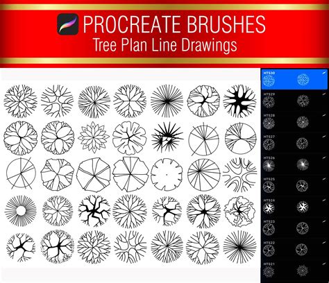 Procreate Tree Brush Set Procreate Brush Pack Landscape Element Brush Procreate Tree Plan