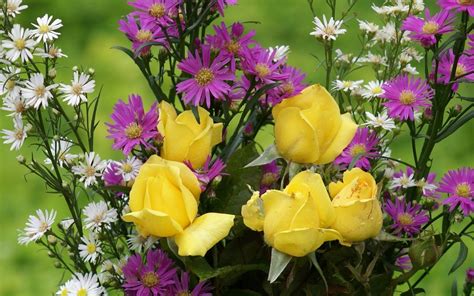 Most Beautiful Wallpapers Of Flowers