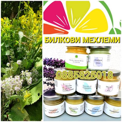 Билкови 🌿🌼🌿 СЪЗДАДЕНИ СЪС СИЛАТА НА БИЛКИТЕ ЗНАНИЯ И ЛЮБОВ ‼️‼️‼️ 🌼 Честит Еньовден