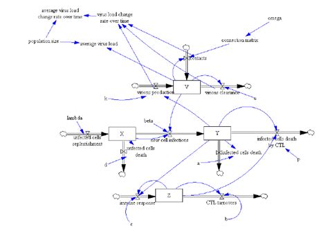 1 The Stock Flow Diagram Of An Individual Based Viral Dynamic Model Download Scientific Diagram