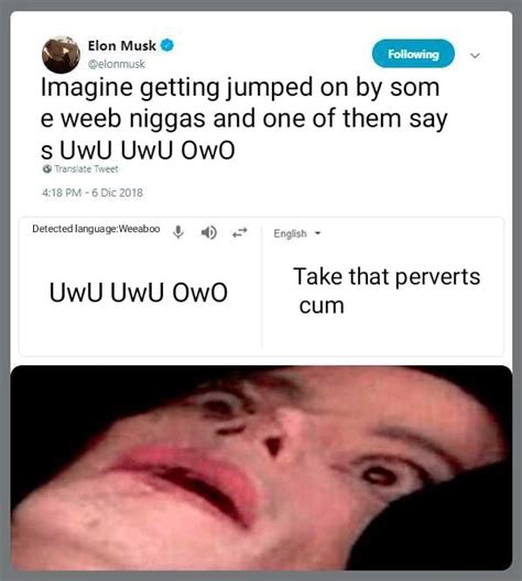 Flan Musk És Y Imagine Getting Jumped On By Som E Weeb Niggas And One Of Them Say S Uwu Uwu Owo