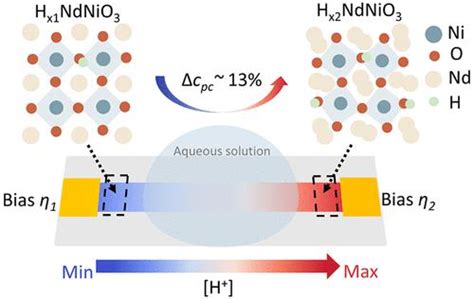 质子浓度梯度薄膜揭示 Ndnio3 质子化诱导的巨大化学膨胀和性能调整 Nano Letters X Mol