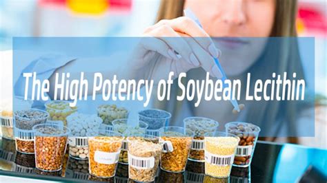 The High Potency Of Soybean Lecithin Creative Enzymes Blog