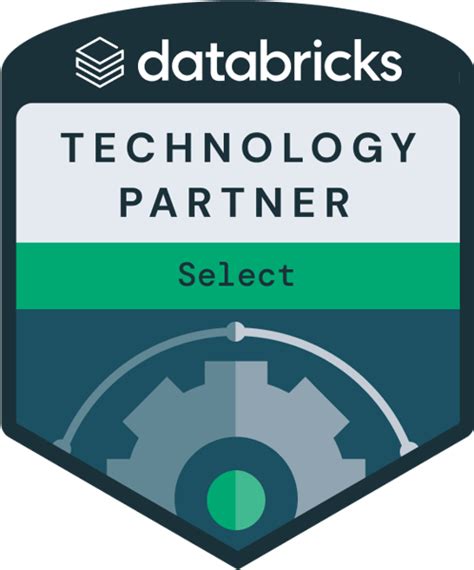 Qlik And Databricks