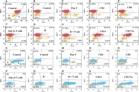 Single Color Flow Cytometric Analysis Of Peripheral Blood Leukocytes