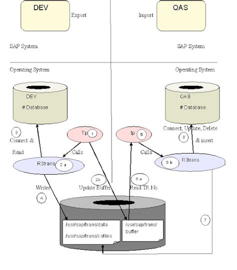 Sap Bugger Sap Transport Basic Overview