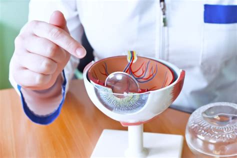 Clear Up Cataract Sx Coding Confusion In 3 Simple Steps Procedure Focus