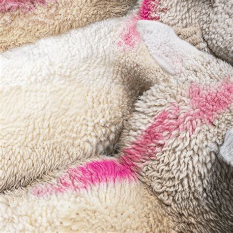 Blawan Npcs Making Hot Dinner Lyrics Genius Lyrics