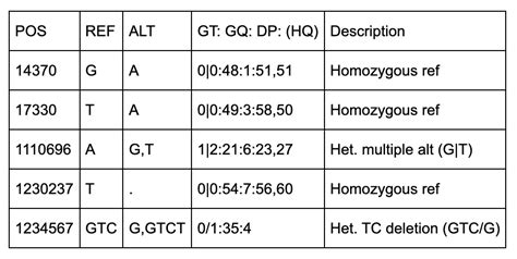 What Is A Variant Call Format VCF File Precision Oncology Solutions GenomOncology
