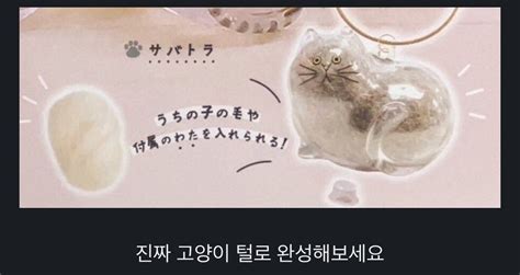 일본 고양이 집사용 굿즈  유머 움짤 이슈 에펨코리아