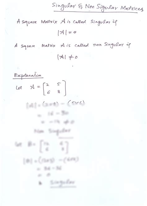 SOLUTION Singular And Non Singular Matrix Studypool