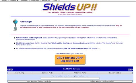 Shieldsup Firewall Vulnerability Test Tool Pdf Meticulous Study Of