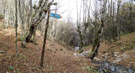 Гложенски манастир и пещера Моровица през есента Backpack Nerd