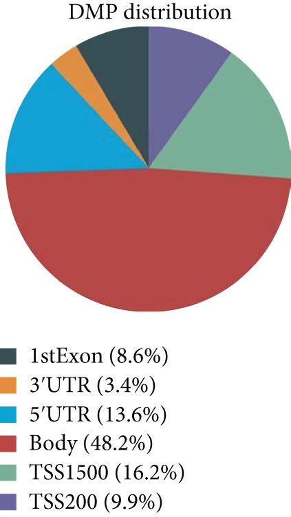 Differentially Methylated Positions Are Located On Genomic Cpg Islands Download Scientific