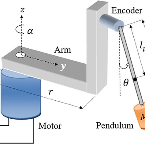 Simplified Schematic Of The Rip System Download Scientific Diagram