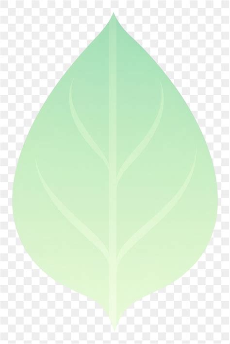 Tree Vector PNG Images Free Photos PNG Stickers Wallpapers Backgrounds Rawpixel