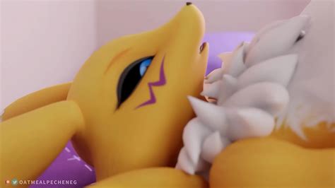 Digimon Furry Porn Xnxx Com