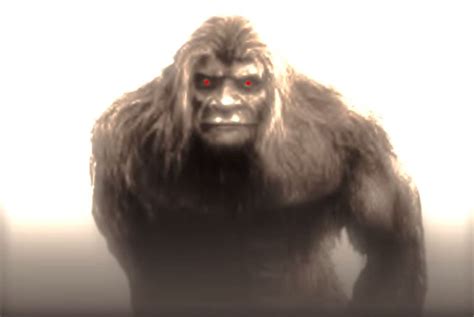 Sc Ep179 Aggravated Sasquatch Encounter Sasquatch Chronicles
