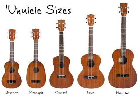 What Is The Standard Size Of Ukulele At Jamie Inglis Blog