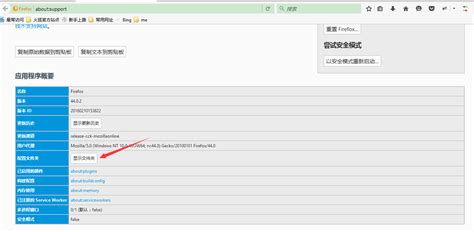 Ui自动化之读取浏览器配置 给明天的自己 博客园